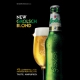 Grolsch Blond 4% to launch in Off Trade | Talking Retail
