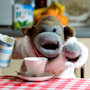 PG Tips returns for festive campaign | Talking Retail