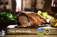 Welsh Lamb set to begin large TV and press campaign | Talking Retail