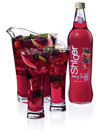 Shloer introduces Berry Punch Limited Edition | Talking Retail