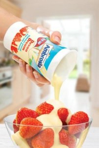Premier Foods unveils new Ambrosia Devon Dream dessert topping ...