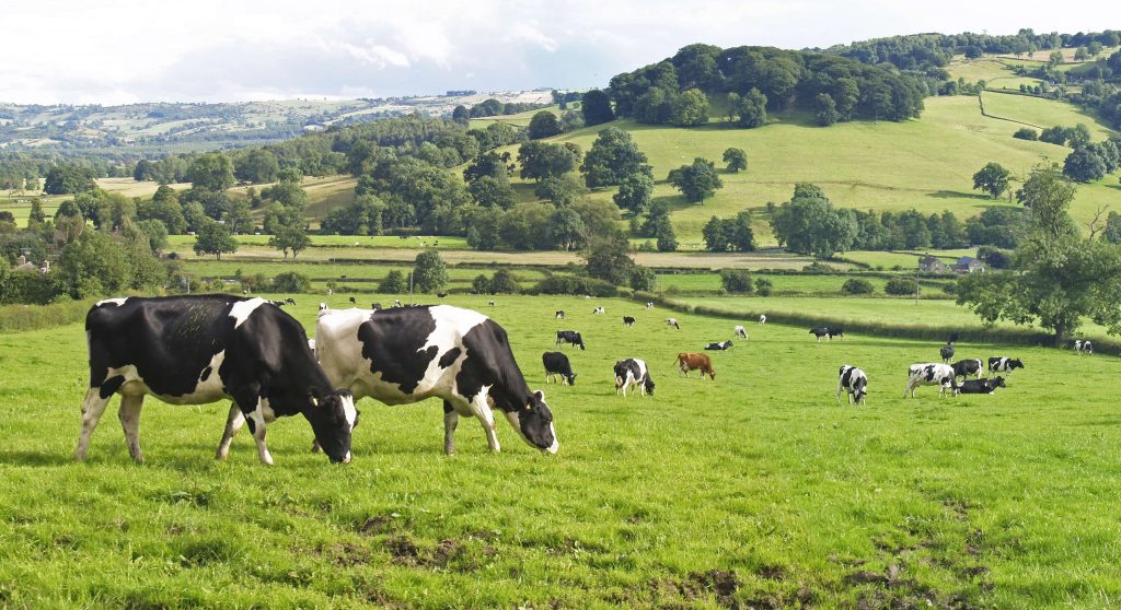 Sainsbury's backs British farming projects | Talking Retail