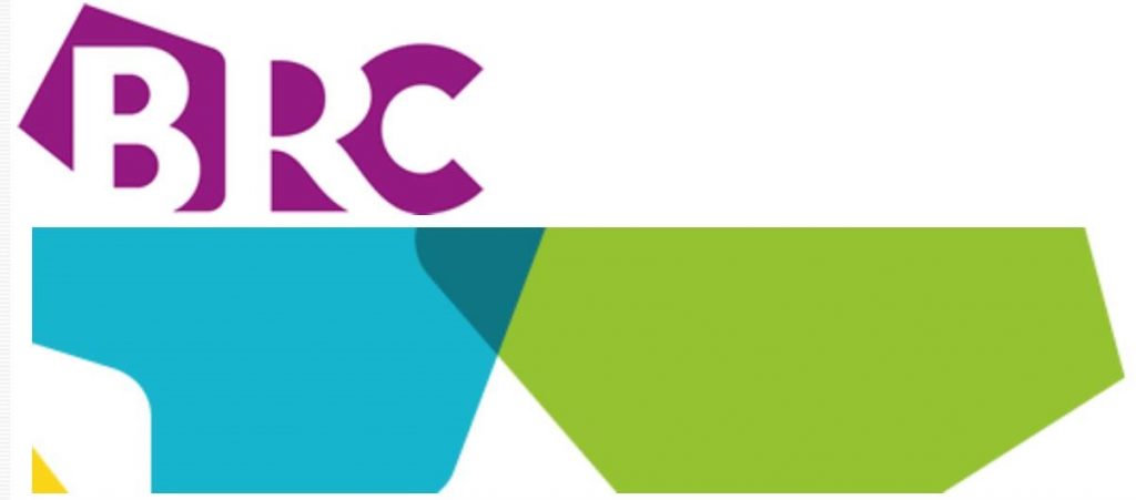 BRC's Helen Dickinson awarded OBE | Talking Retail