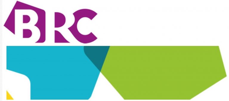 BRC's Helen Dickinson awarded OBE | Talking Retail
