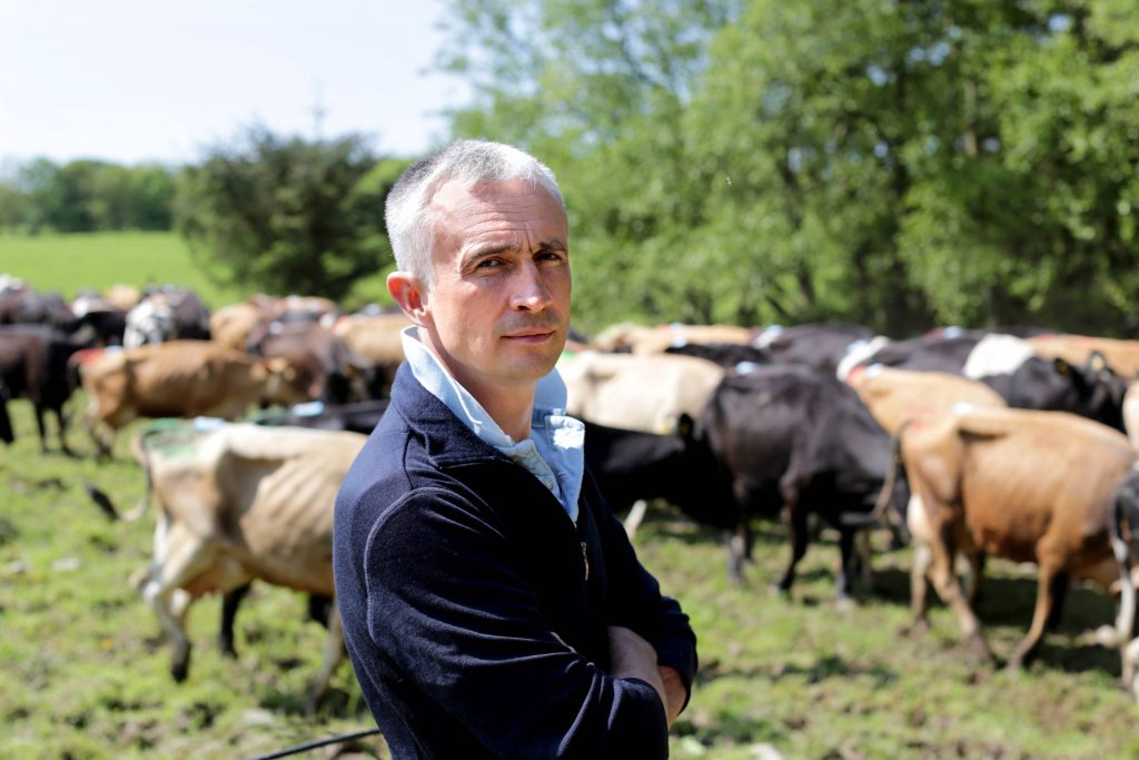 New digital campaign for Seriously Strong Cheddar | Talking Retail