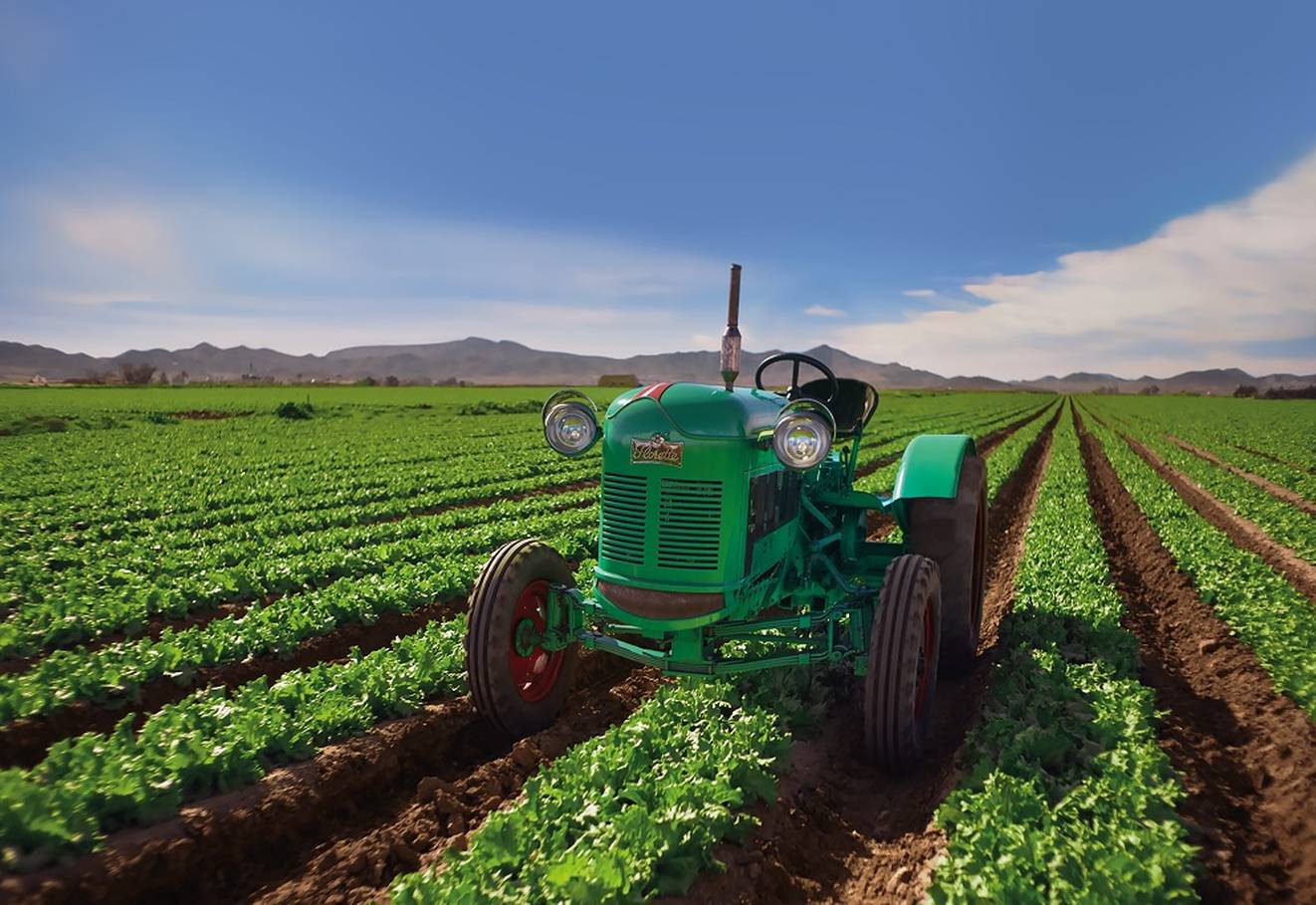 Florette unveils new TV advertising campaign | Talking Retail