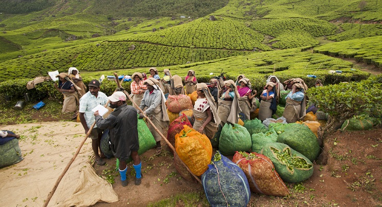 Fairtrade Fortnight focuses on chocolate | Talking Retail