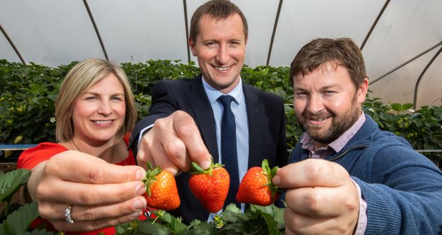 Spar Scotland partners with local fruit grower | Talking Retail