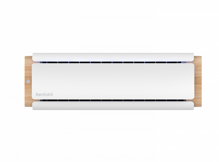 Rentokil launches Lumnia Slim LED fly killer | Talking Retail