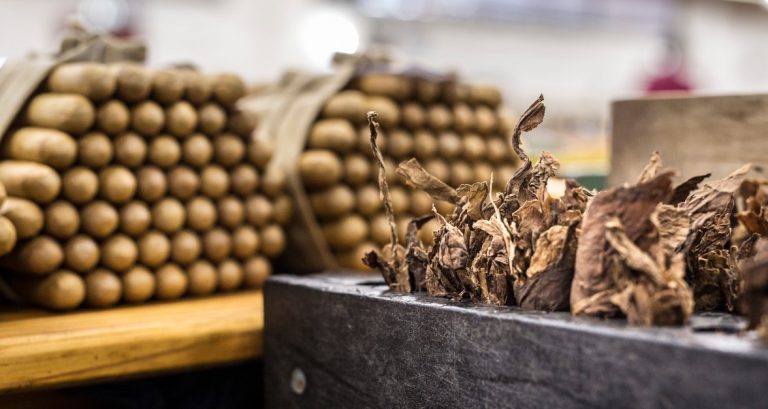 Signature Red Filter unveils new pack size | Talking Retail