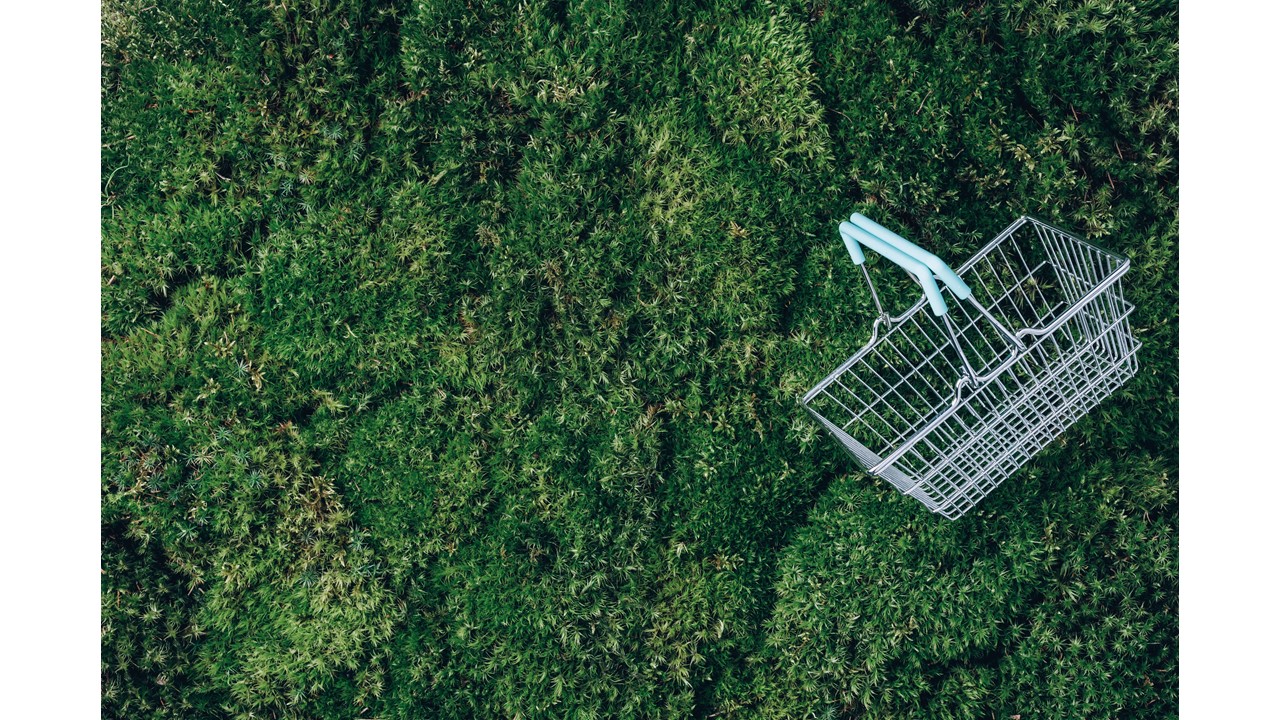 Sustainability: Buy one, get one tree | Talking Retail Sustainability: Buy one, get one tree | Talking Retail