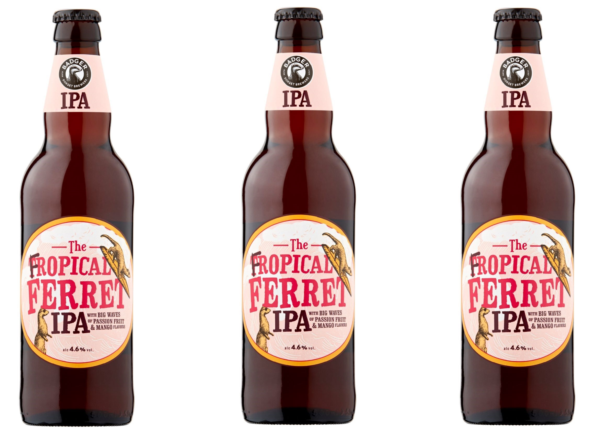 Badger asks c-stores to stock its Fropical Ferret light ale in chillers ...