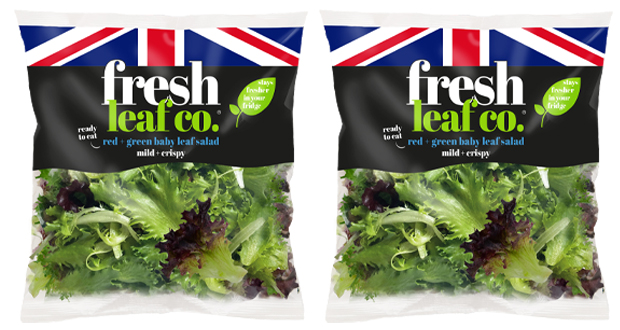 GrowUp Farms to sell Fresh Leaf Co. in Spar stores | Talking Retail
