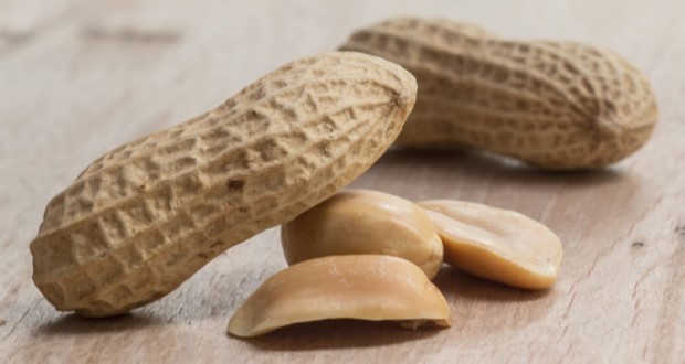 FSA warns of mustard ingredients contaminated with peanuts | Talking Retail