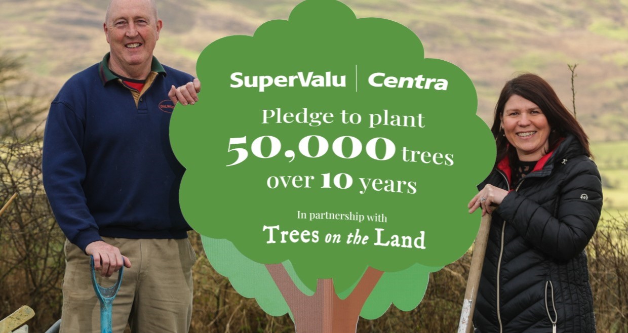 Tree-planting project grows thanks to Northern Ireland retailers ...