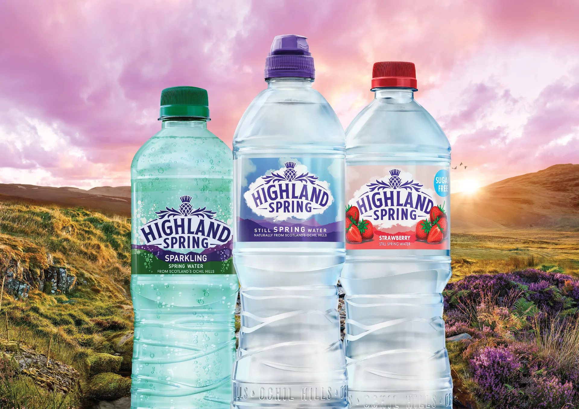 Promotional feature | Drive water sales by offering something for every ...